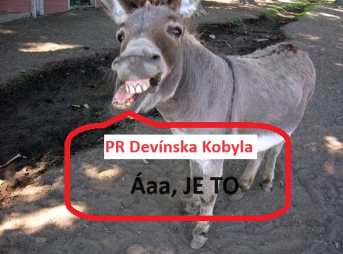 PR Devínska Kobyla - 5. stupeň ochrany či detské ihrisko chránených ...